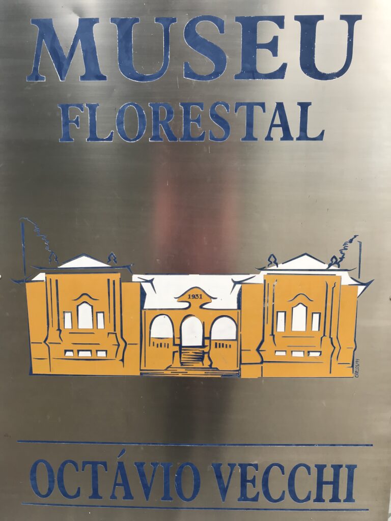 🌳🐒 05 DE JUNHO – DIA MUNDIAL DO MEIO AMBIENTE 2022 – PASSEIO NO HORTO ...