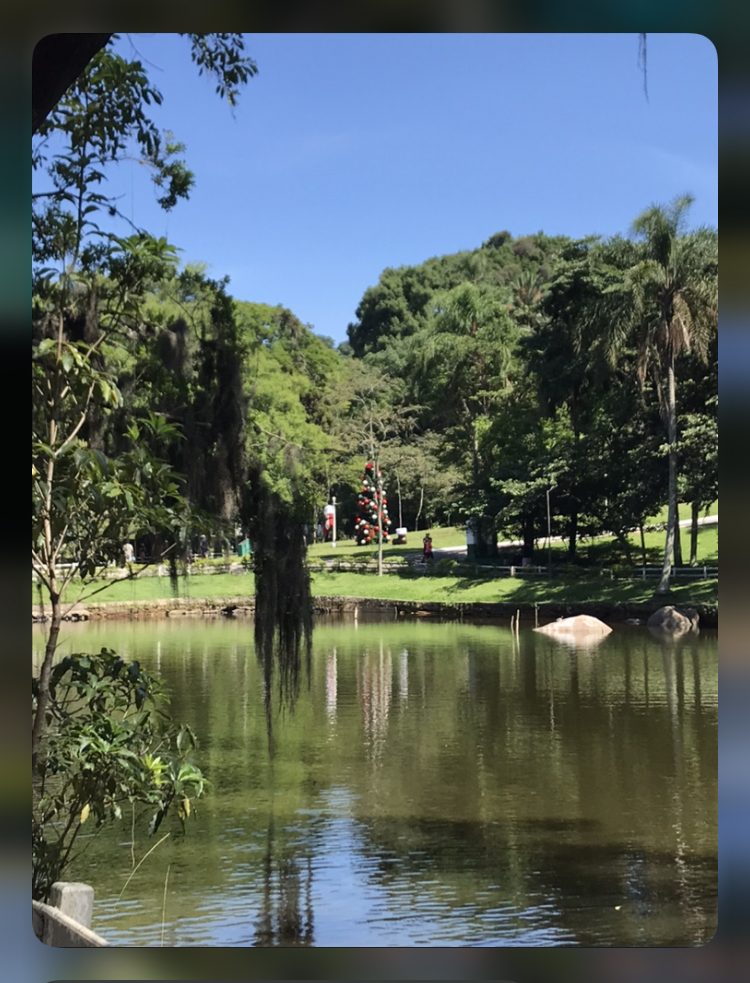 16/12/2023 – 🏞🎄🌳🧑‍🎄 FELIZ NATAL! CANTAREIRA – FLORESTA CANTAREIRA ...