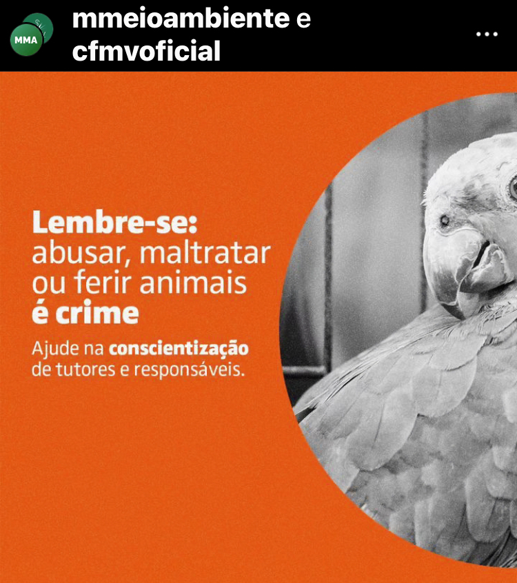 28/04/2024 – 🧡 Abril Laranja – Mês de prevenção contra a crueldade ...